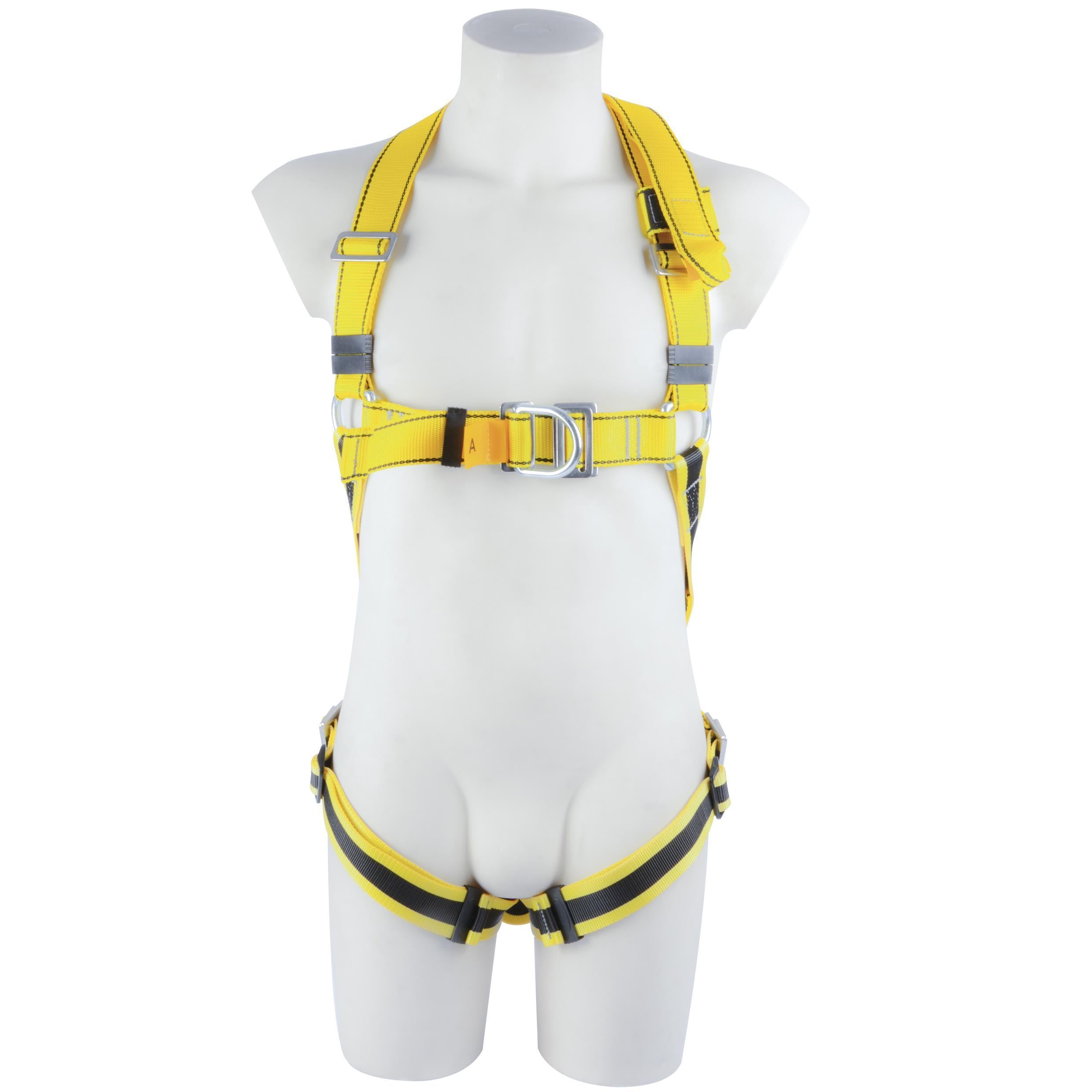 BIGBEN® Deluxe 2 Point Safety Harness | Fall Arrest Harnesses